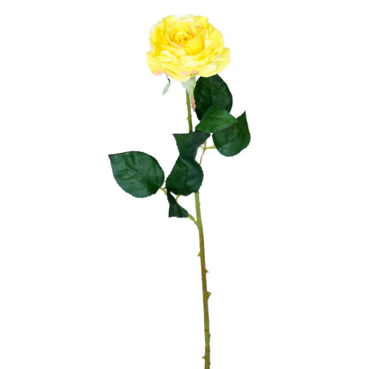 Kjøp Diamant Rose Gul Online - Nå kun 49 - Temashop.no