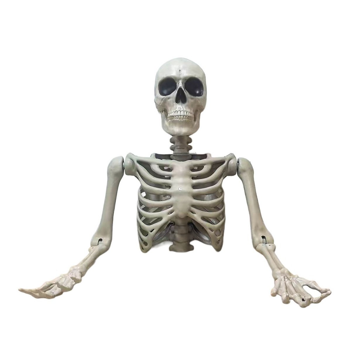 Kjøp Lifesize Skjelett Overkropp Online - Nå kun 2669 - Temashop.no