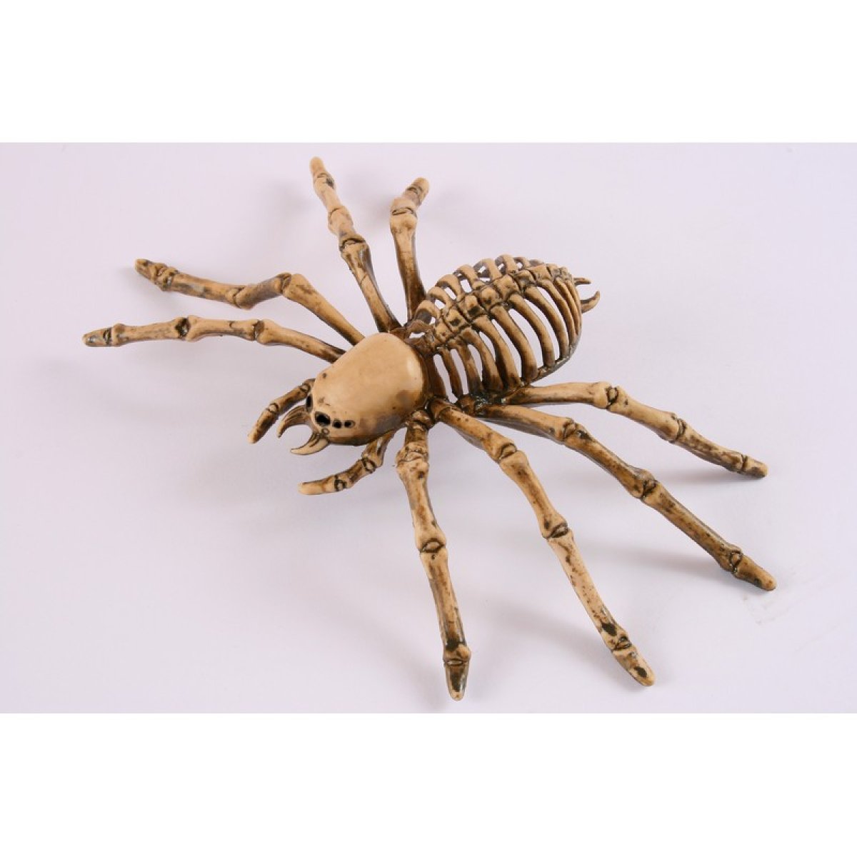 Kjøp Edderkopp Skjelett Online - Nå kun 79 - Temashop.no