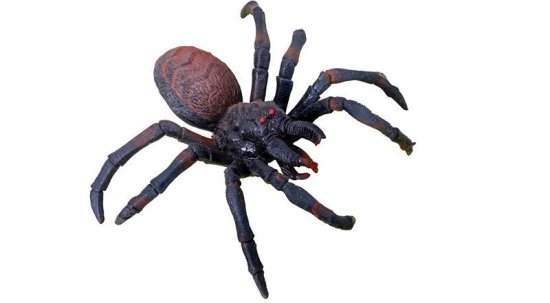 Kjøp Edderkopp Bordløper Online - Nå kun 149 - Temashop.no